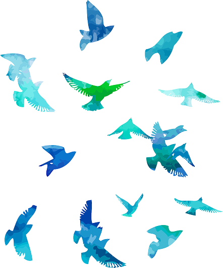 Position - Capitalist - BIRD INITIATIVE